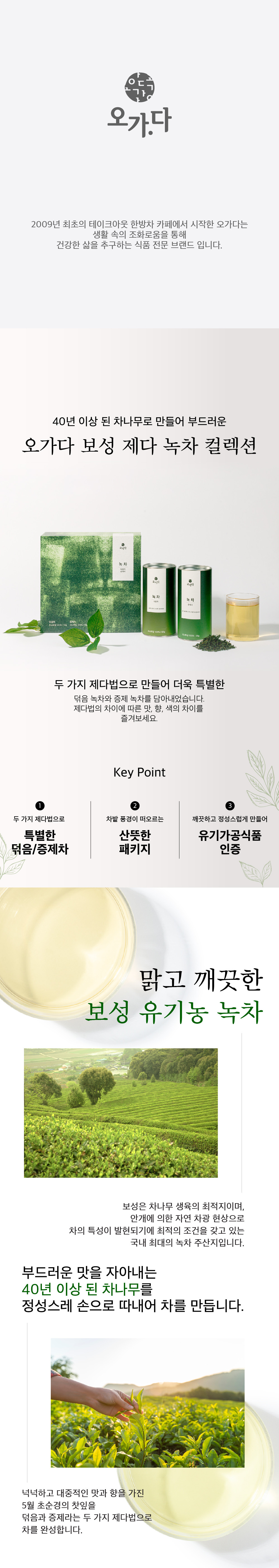 [2024 설 선물 추천]오가다 보성 제다 녹차 컬렉션(덖음차 50g, 증제차 50g, 차거름망 40매) - CJ프레시마켓