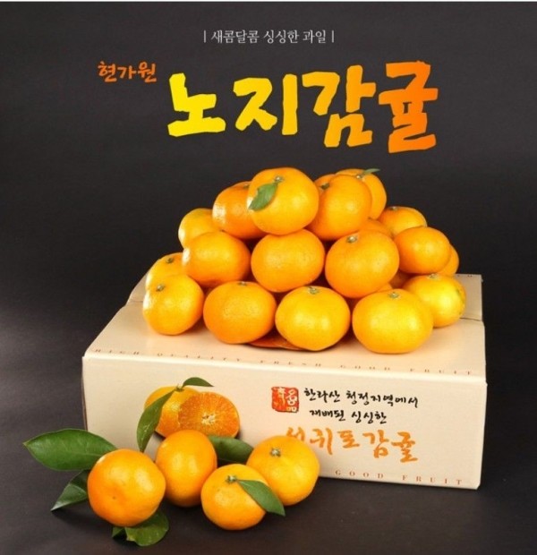 제주 서귀포 하례마을 노지감귤 3kg 5kg 10kg 골라담기 제주연가 - CJ프레시마켓